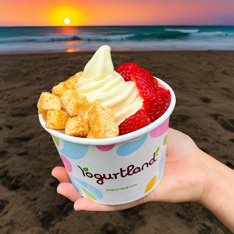 Yogurtland: Home